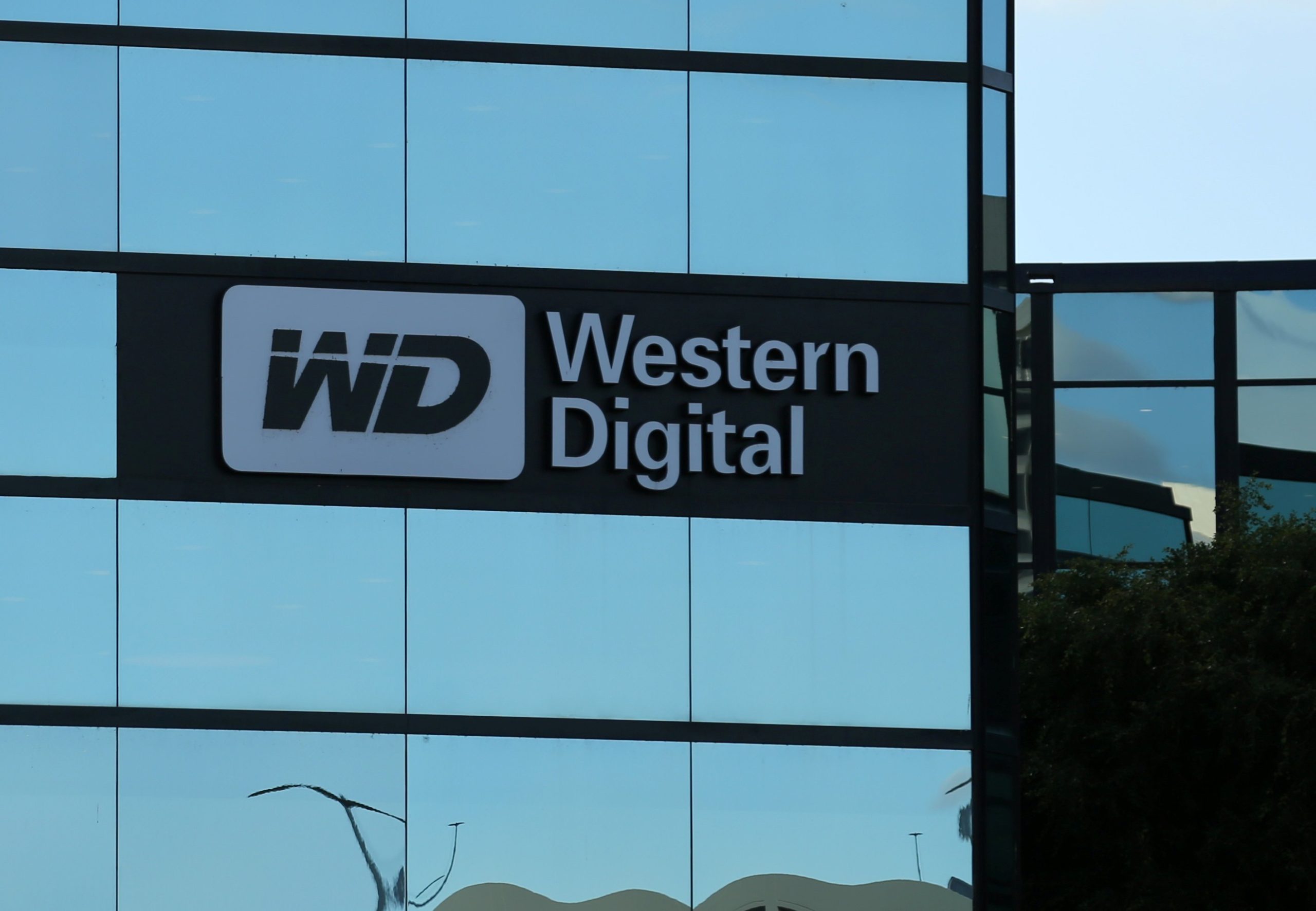 Western Digital – Precision Economics